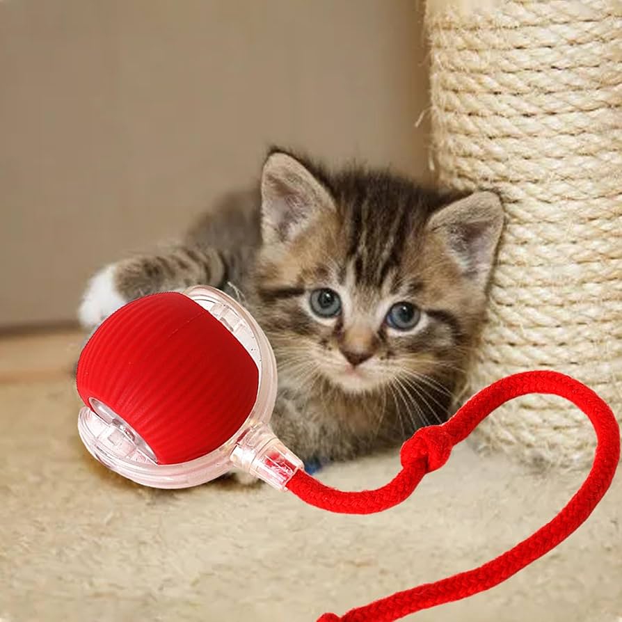 Cat Interactive Ball Toy, Automatic Rolling Ball with Tail ...